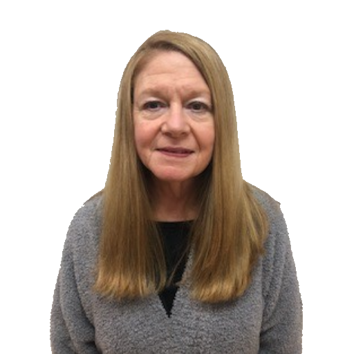 INGRAM SALES - Sales Team